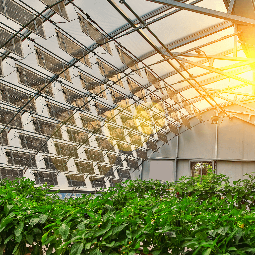 A New Era of Agriculture: How Microgrids Are Powering Indoor Farms - A ...